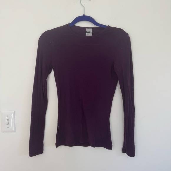 Icebreaker | Tops | Icebreaker Womens Merino 20 Oasis Long Sleeve Crewe ...